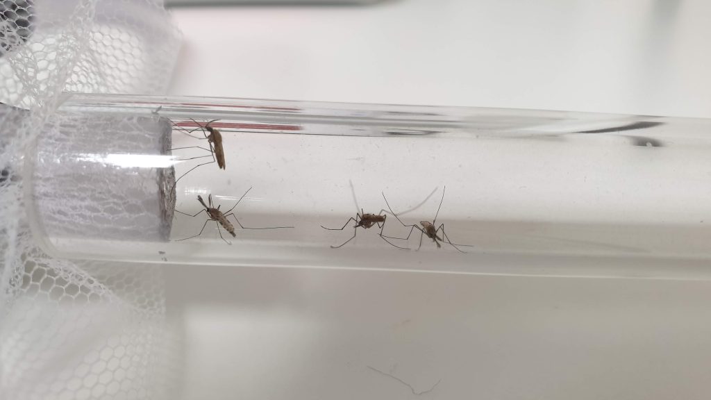 About - Innovative Vector Control Consortium