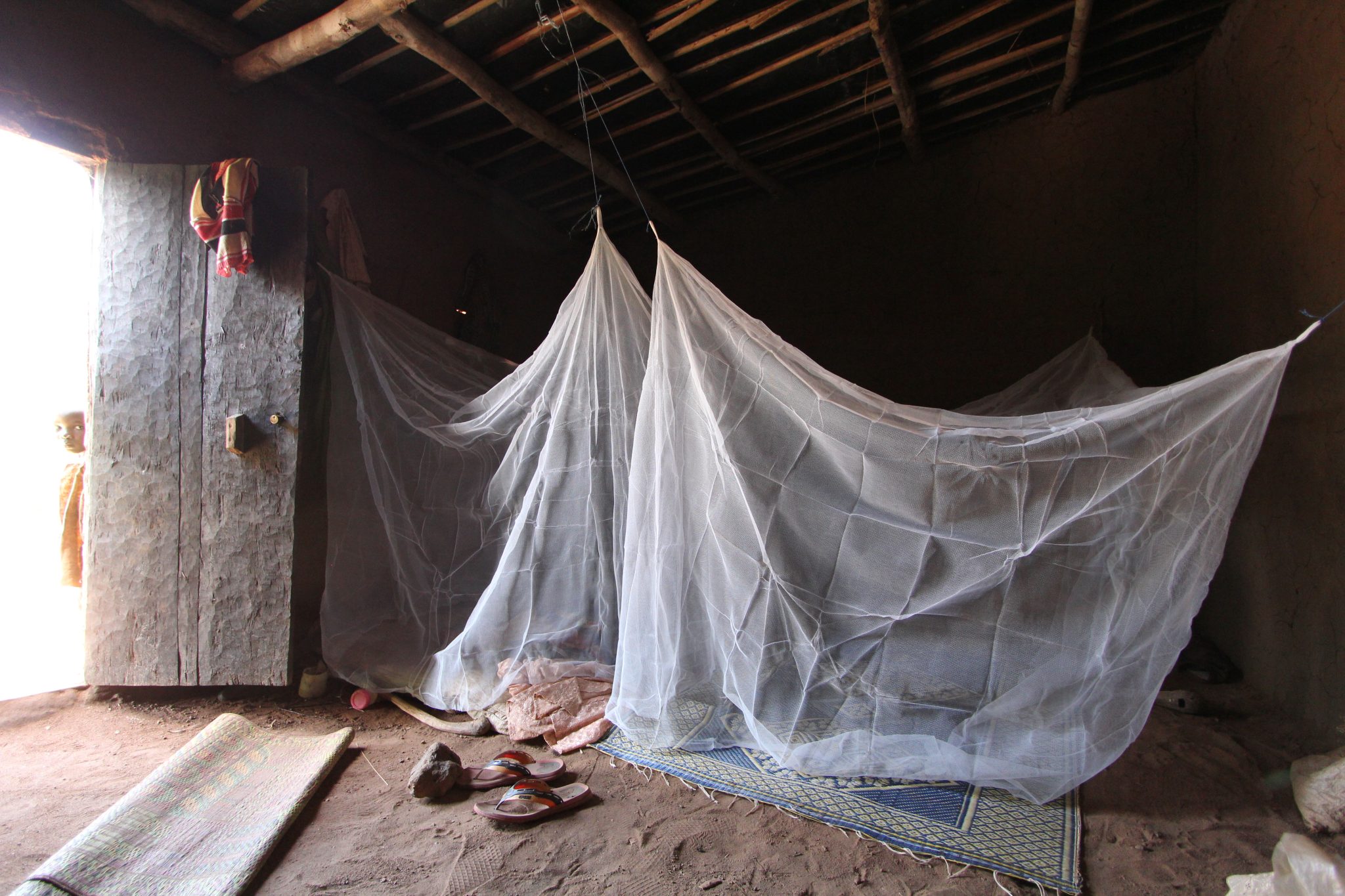 Homepage - Innovative Vector Control Consortium