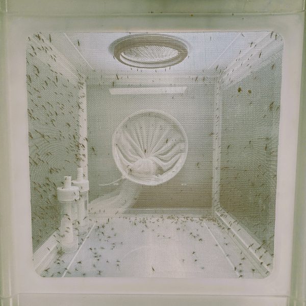 About - Innovative Vector Control Consortium