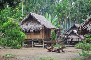 Homepage - Innovative Vector Control Consortium